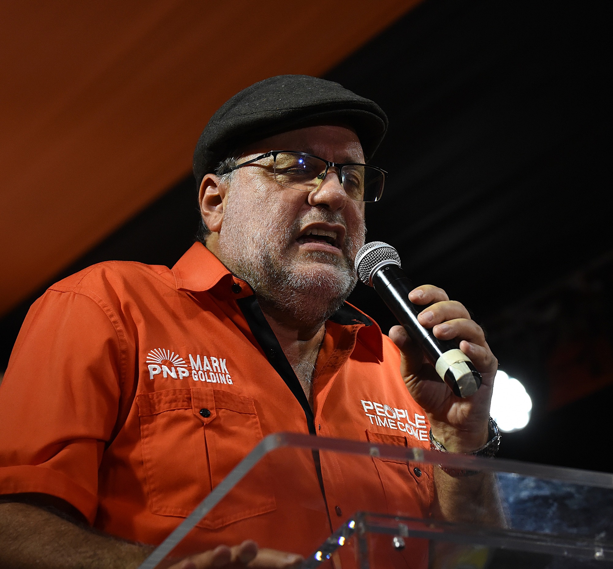 Jamaica Elections 2025 News & Articles - Golding vows to make Cabinet ...